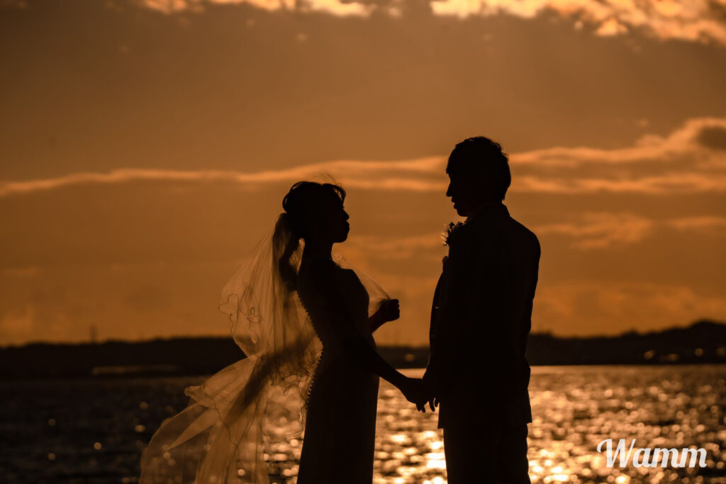 12月のt-flow フォトギャラリー | WAMM