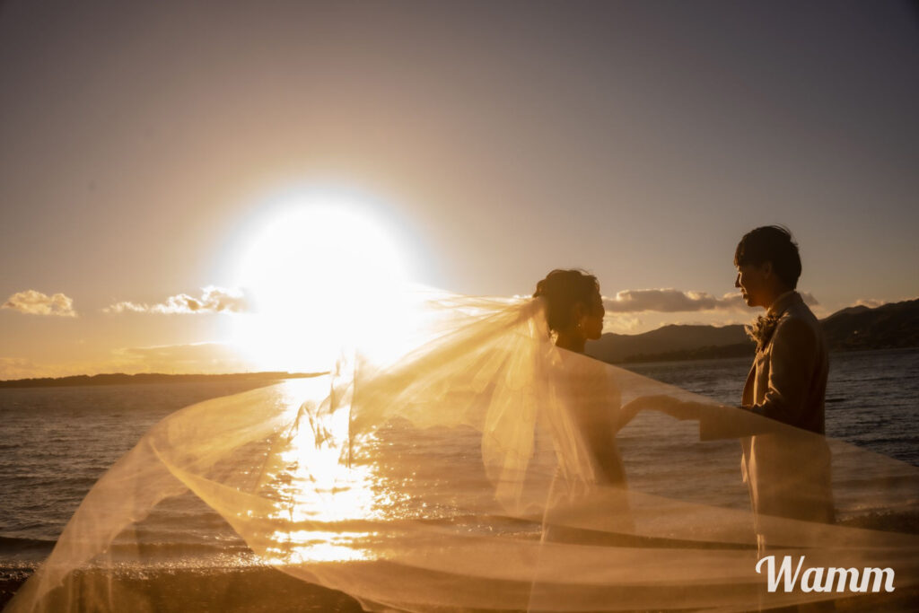 12月のt-flow フォトギャラリー | WAMM