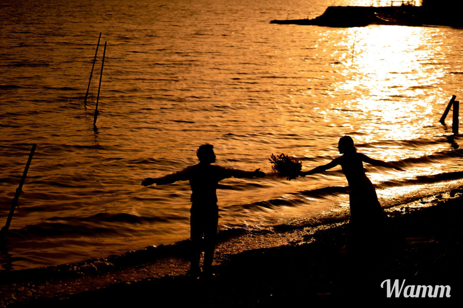 3月のt-flow フォトギャラリー | WAMM