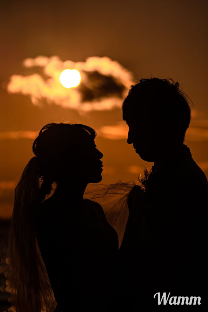 12月のt-flow フォトギャラリー | WAMM