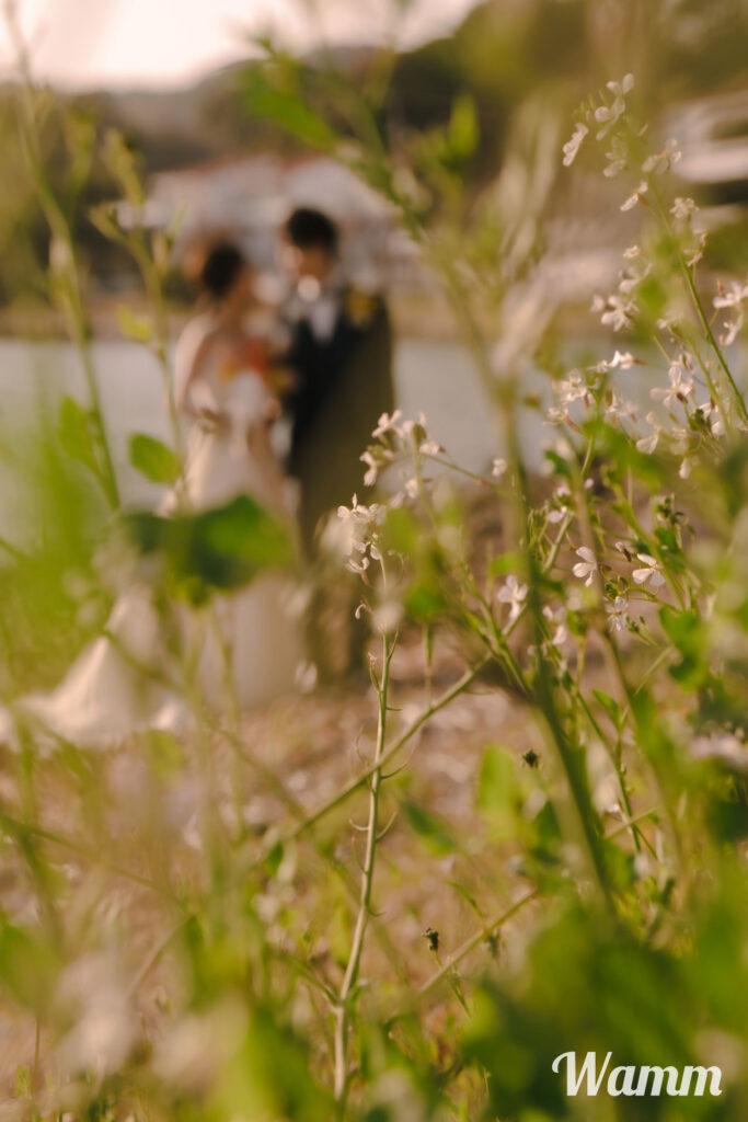 3月のt-flow フォトギャラリー | WAMM