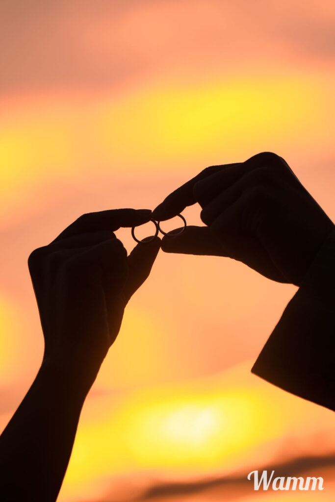 12月のt-flow フォトギャラリー | WAMM